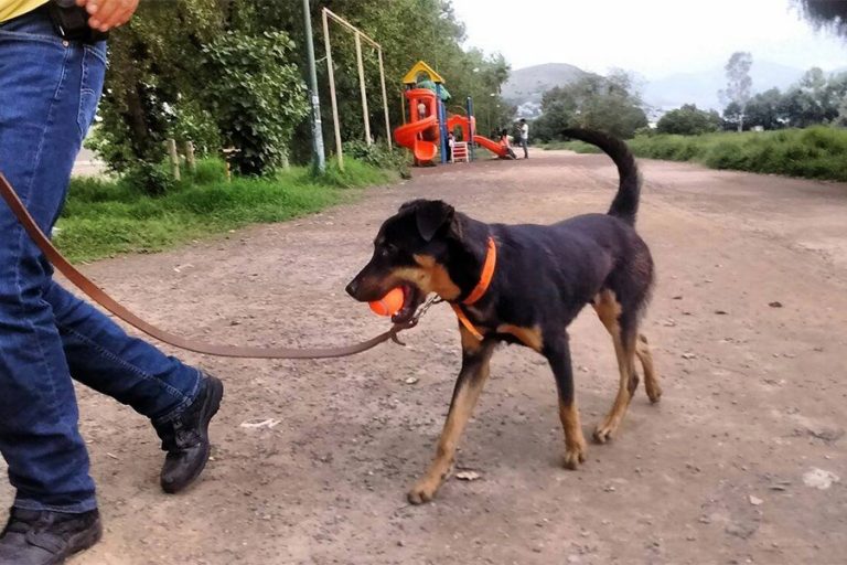 La vida de 'El Borras' antes de 'Roma' - Revista Caras