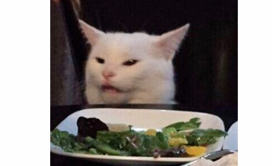 De dónde salió el meme del gatito en la mesa - Revista Caras