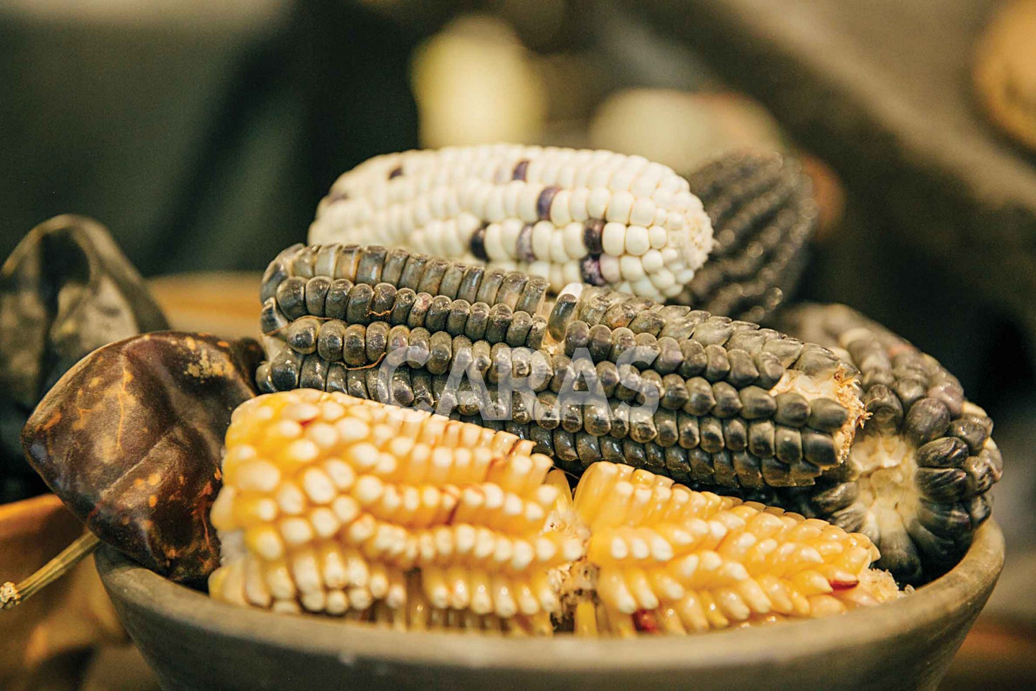 Siembra tortillería: una propuesta gastronómica y natural